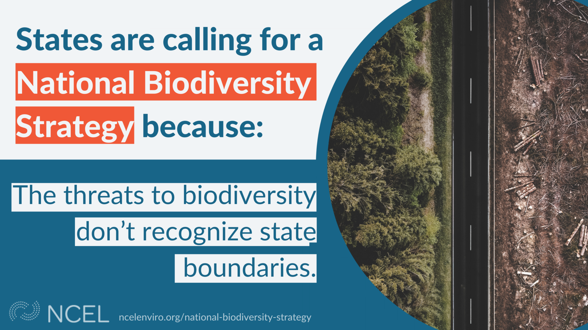 Restoring Biodiversity: How U.S. States are Protecting Life on Earth ...