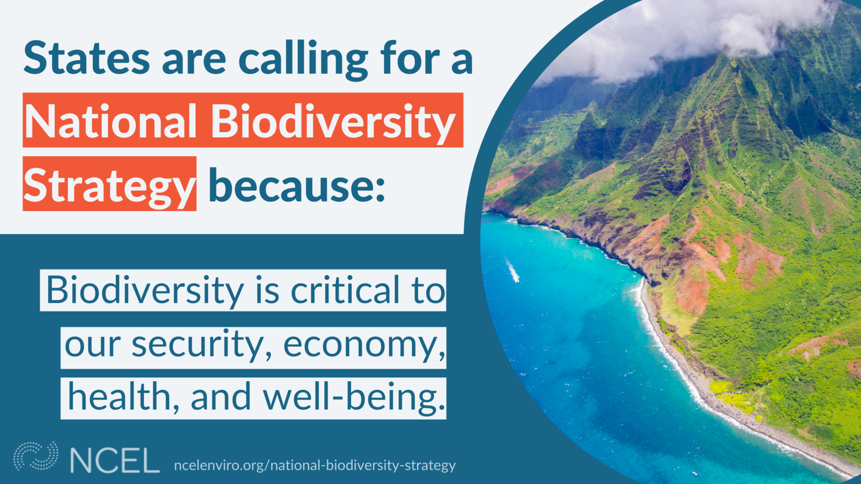 Restoring Biodiversity: How U.S. States are Protecting Life on Earth ...