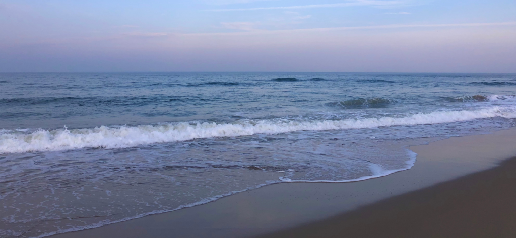 Senator Mamie Locke, Virginia | National Caucus of Environmental ...